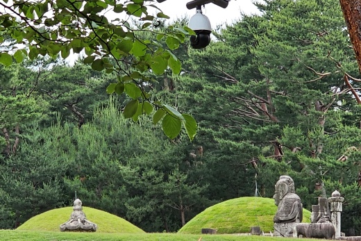 Taereung and Gangreung Royal Tombs in Seoul